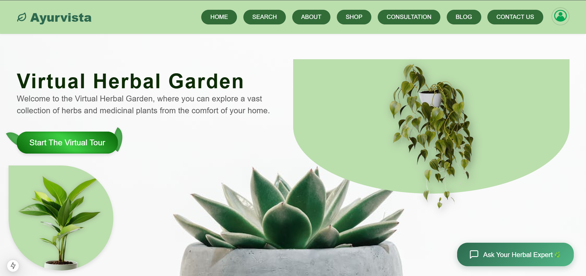 AyurVista: A Virtual Herbal Garden | Devpost