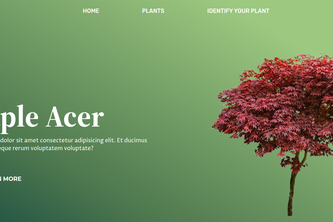 Green Haven | Devpost