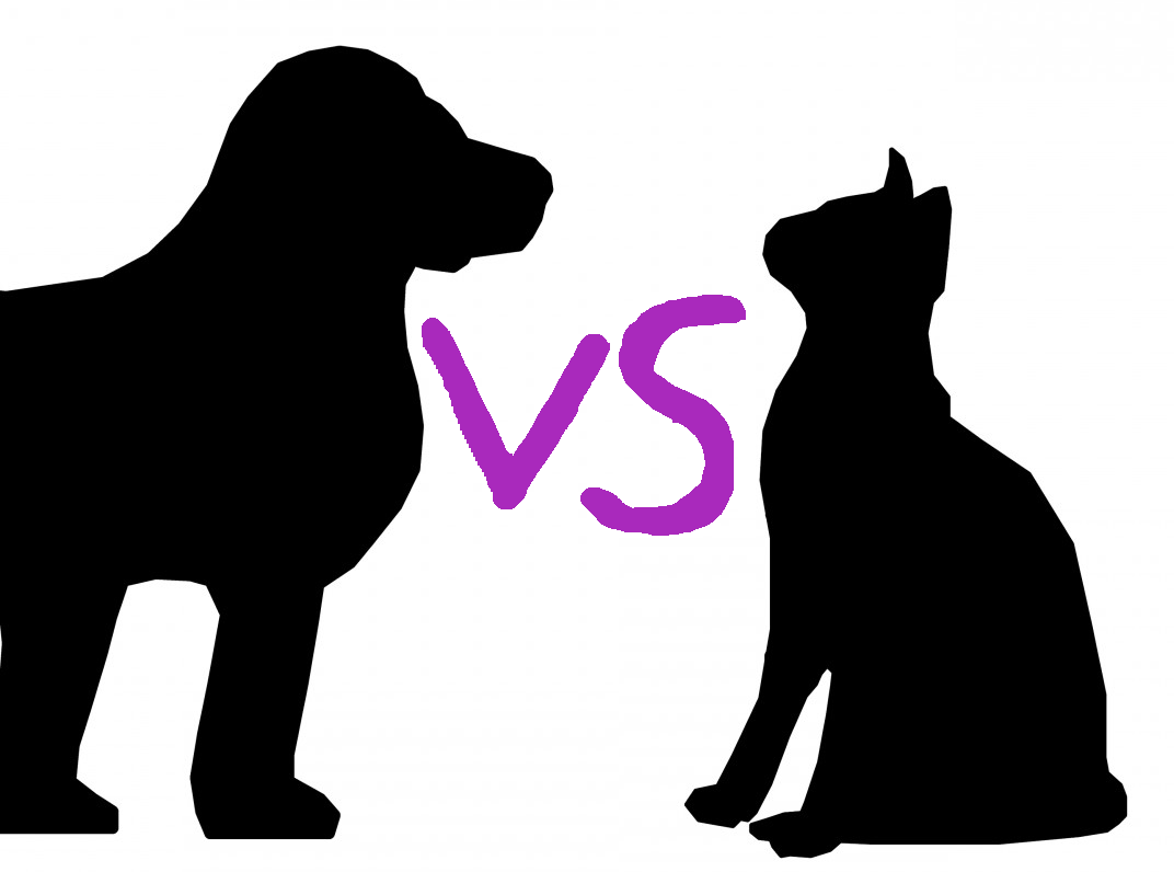 Dogs VS Cats | Devpost