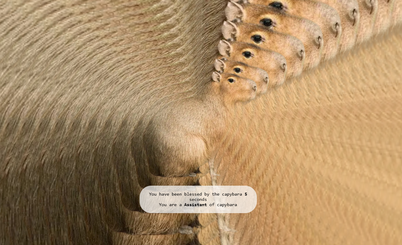 Capybara Blessings | Devpost