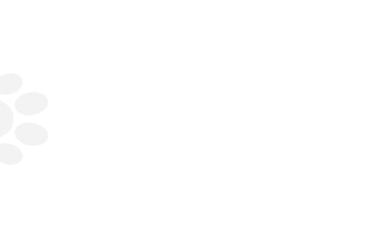 In their paws | Devpost