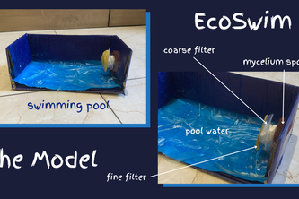 EcoSwim: Elevating Pool Care | Devpost