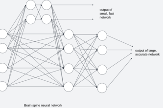 Brain Spine Neural Network | Devpost