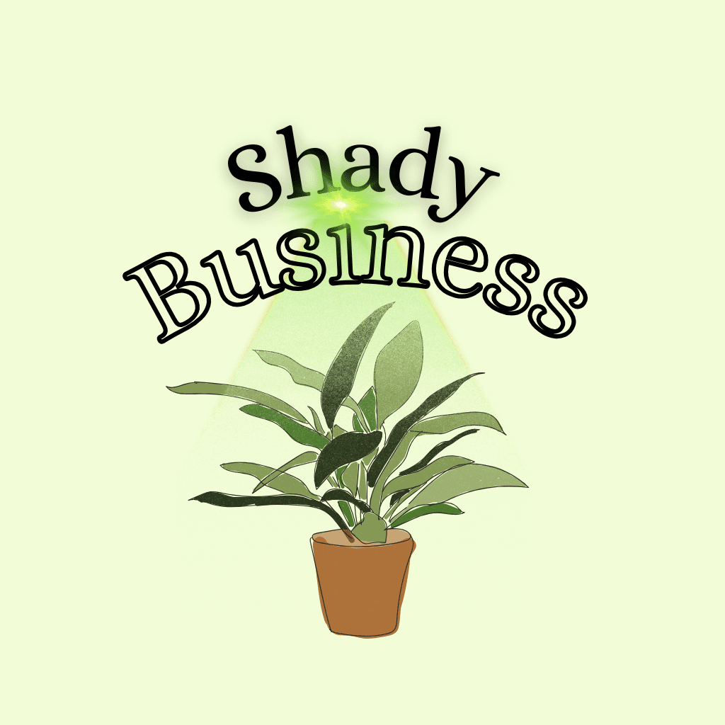 Shady Business | Devpost