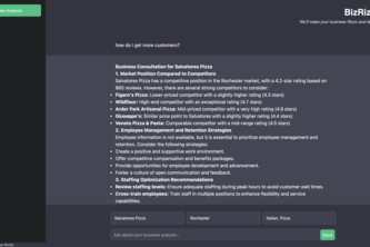 BizRizz AI | Devpost