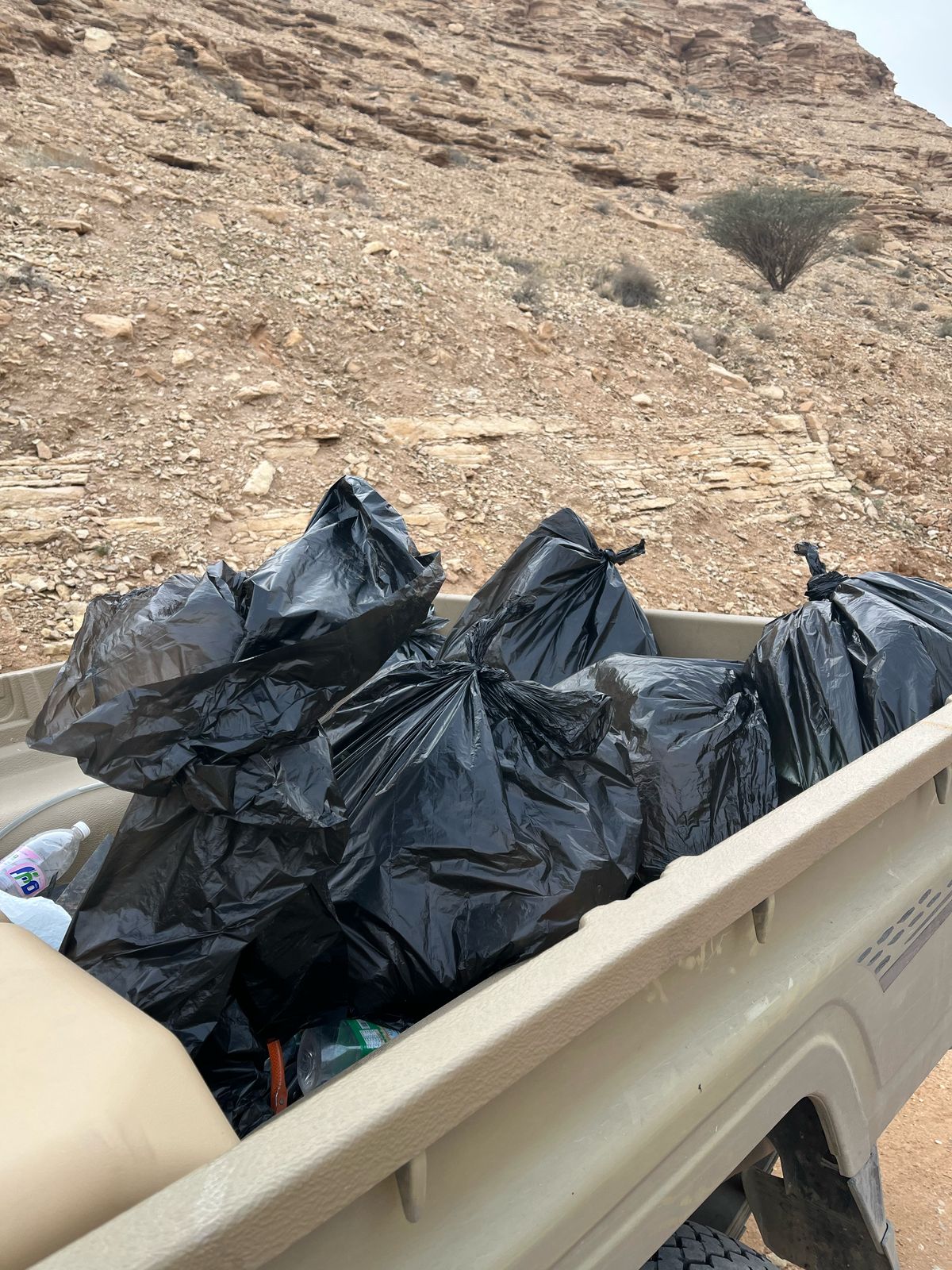 Collection Effort | Devpost