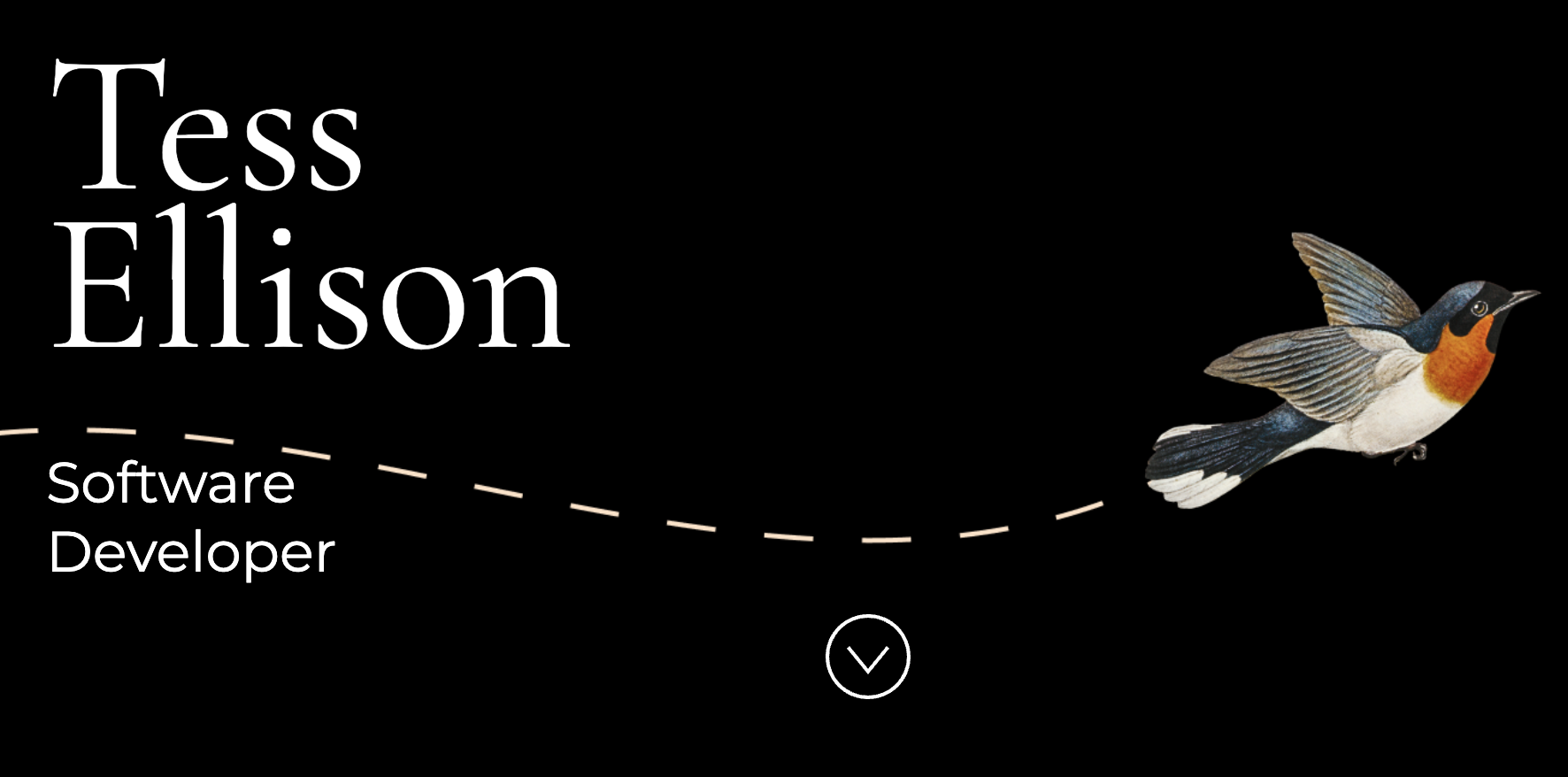 Tess Ellison's Portfolio | Devpost