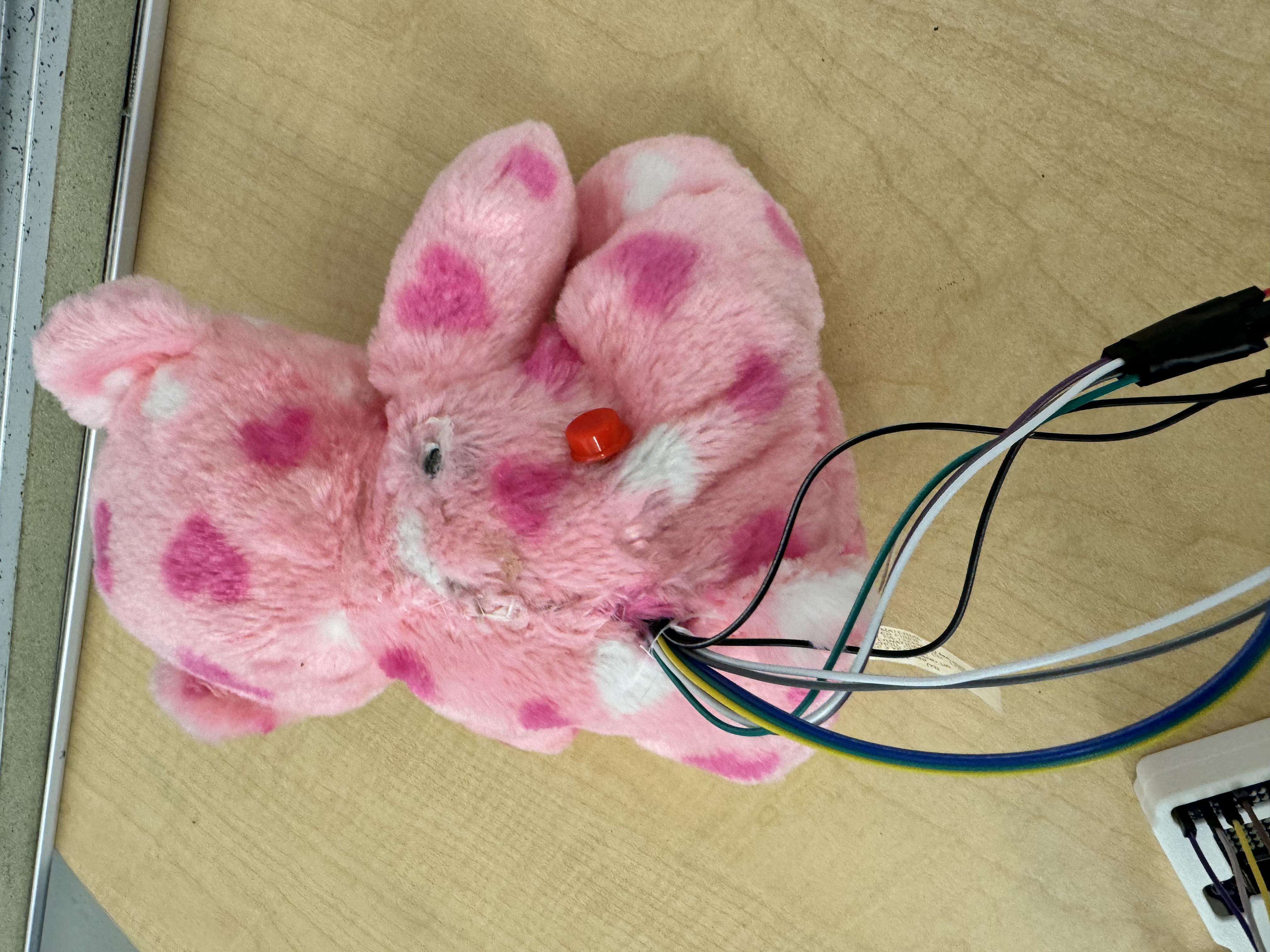 The Teddy Bear Companion | Devpost