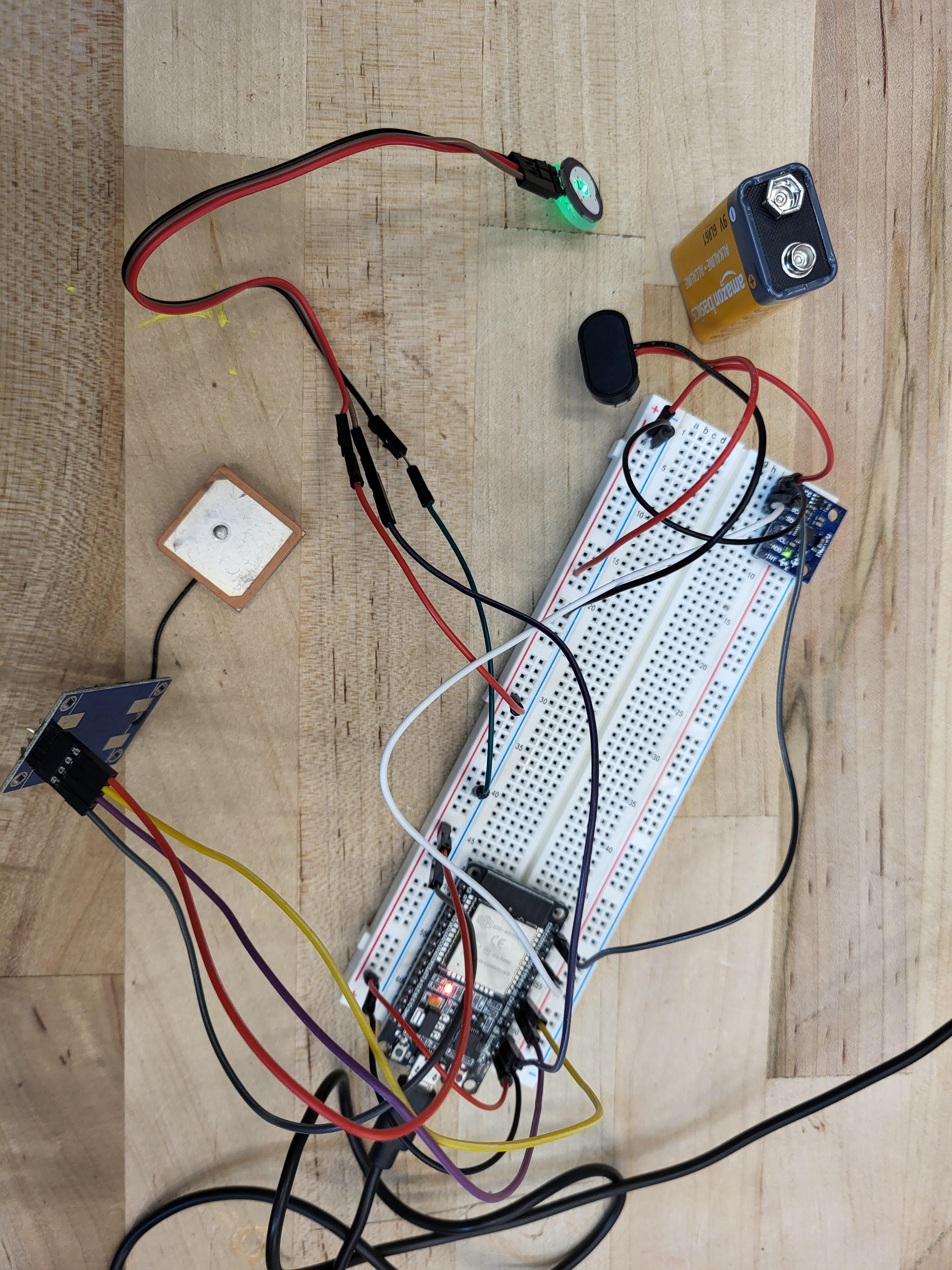 Rosie Wild Life Tracker | Devpost