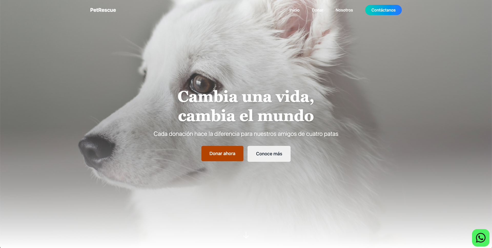 Dog foundation | Devpost