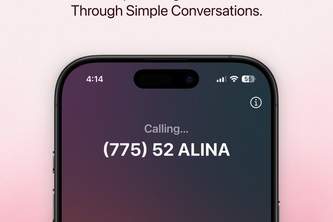 Hello, Alina | Devpost