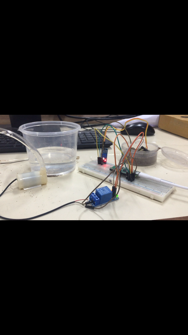 Automatic plant watering system | Devpost