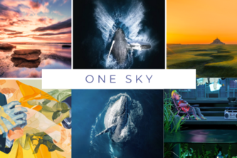 One Sky Collective | Devpost