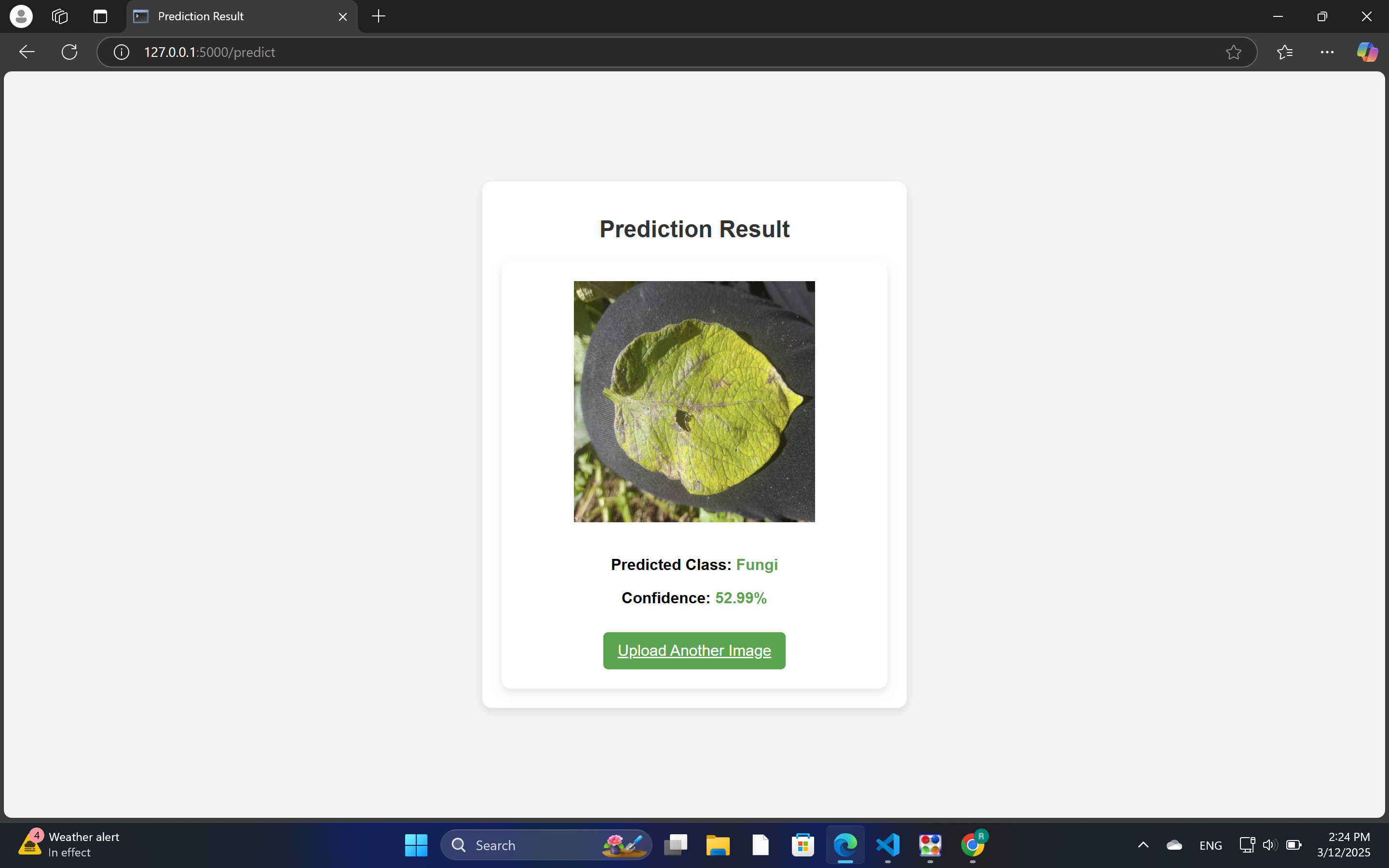 SmartAgro Diagnoser: AI System for Plant Disease Detection | Devpost