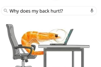 Shrimp Posture | Devpost