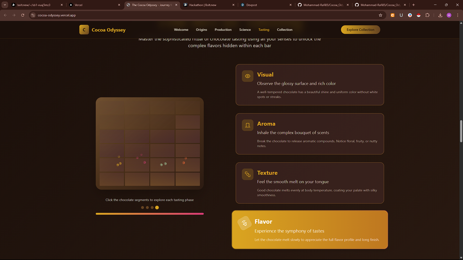 Cocoa Odyssey | Devpost