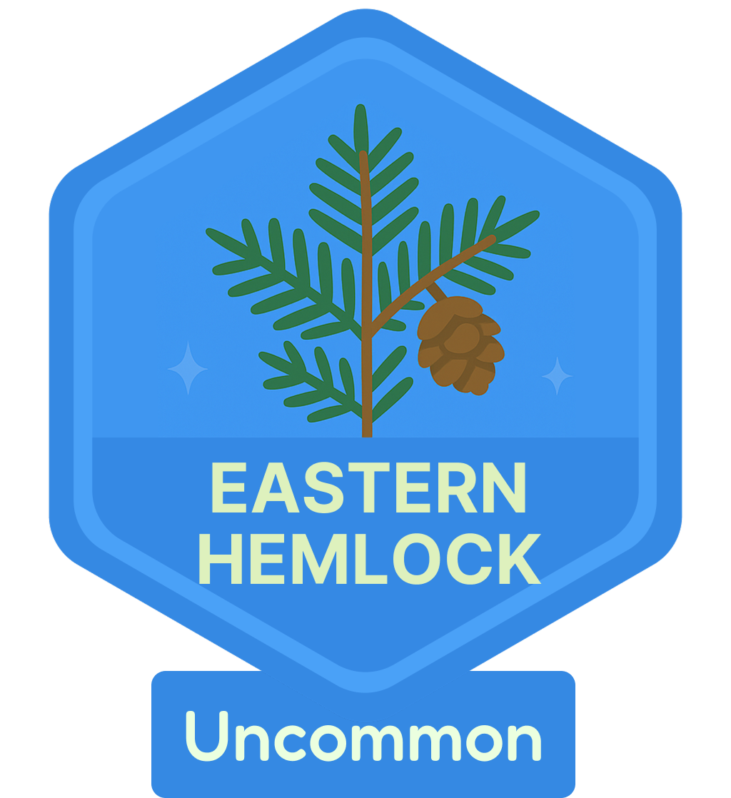 Leafari - Pokemon Go for Plants | Devpost