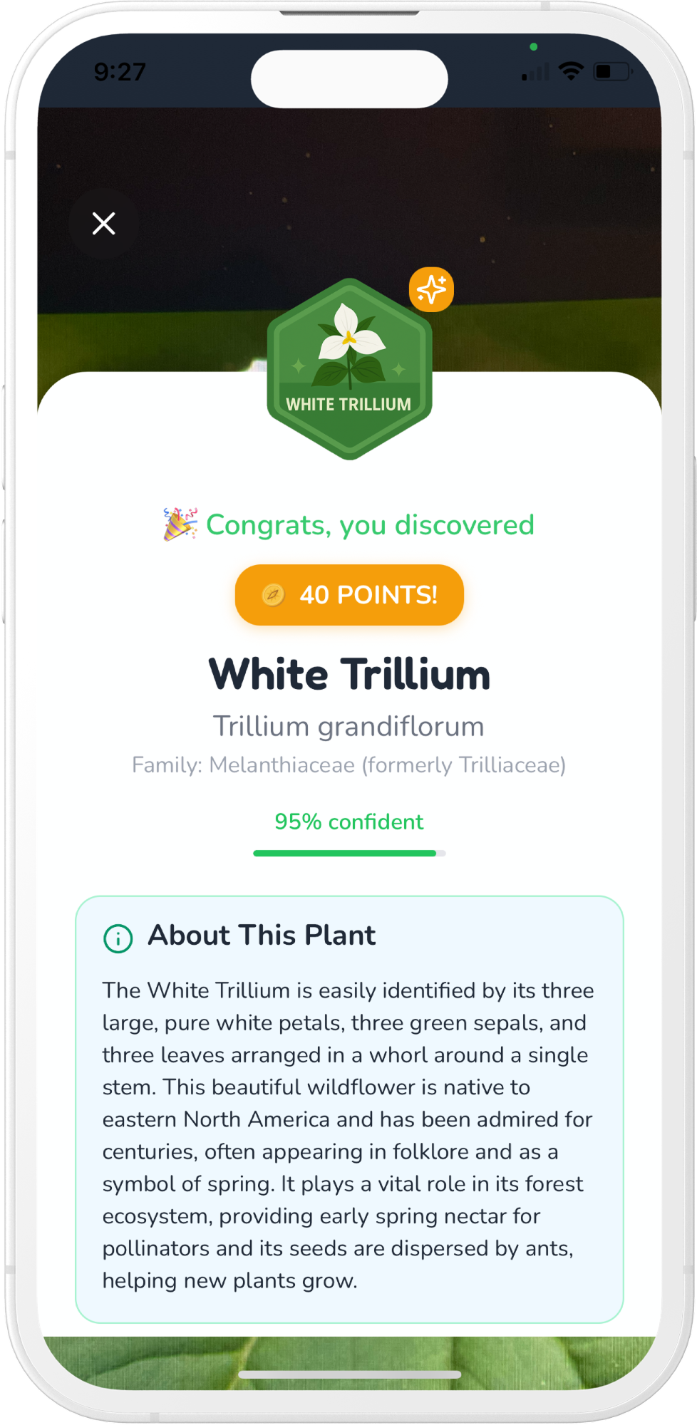 Leafari - Pokemon Go for Plants | Devpost