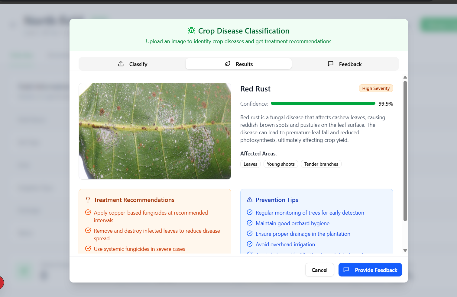 Crop Disease Detection | Devpost