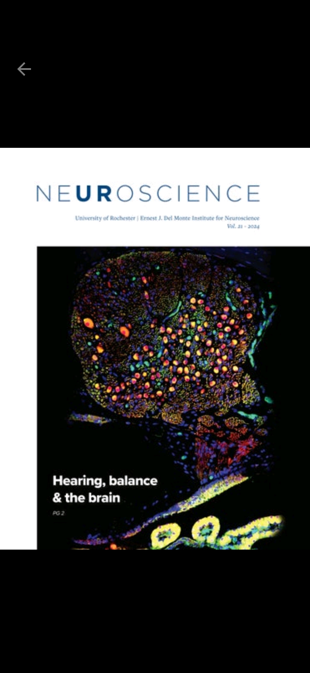 NeuroVerse: The Rise of Synaptic Cities" | Devpost