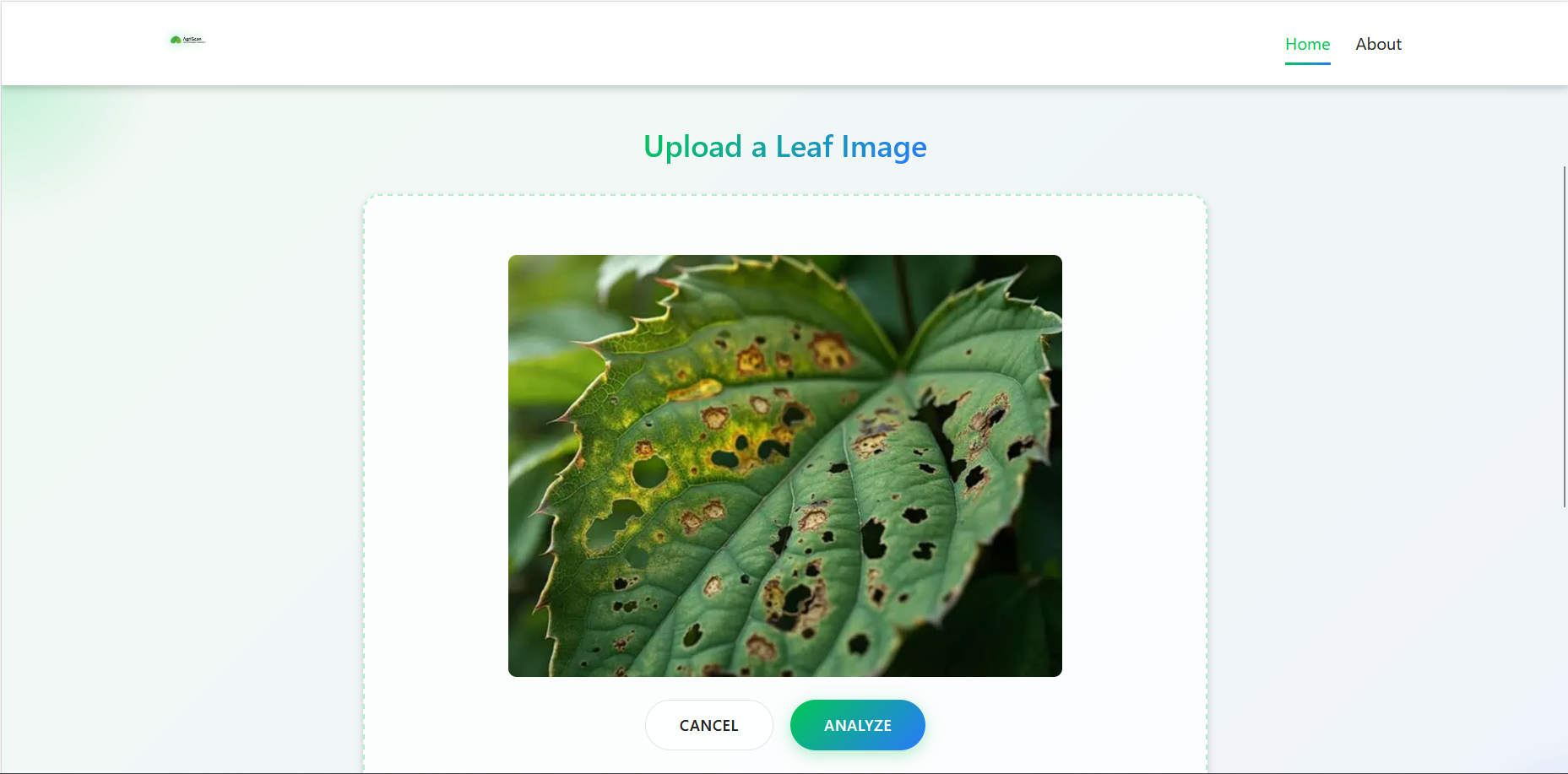 AgriScan - Crop Disease Detector | Devpost