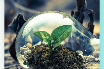 Eco Mind Ai | Devpost