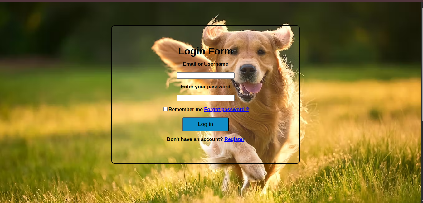 Elegant Login Form | Devpost