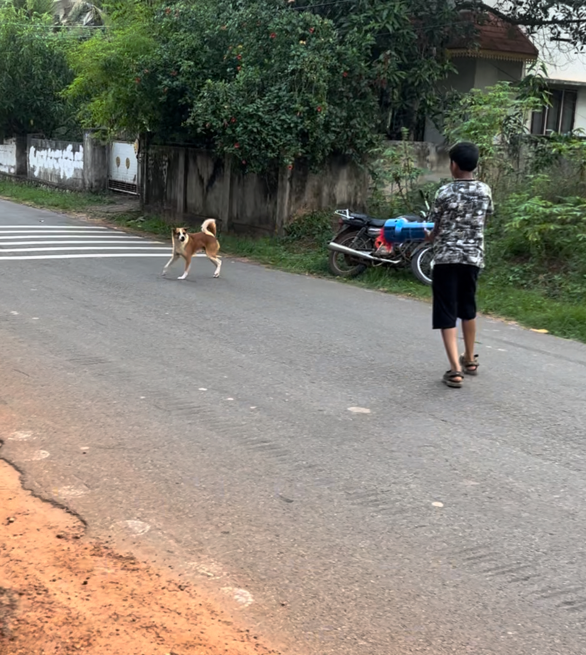 DEVICE TO STOP HUMAN ANIMAL CONFLICT | Devpost