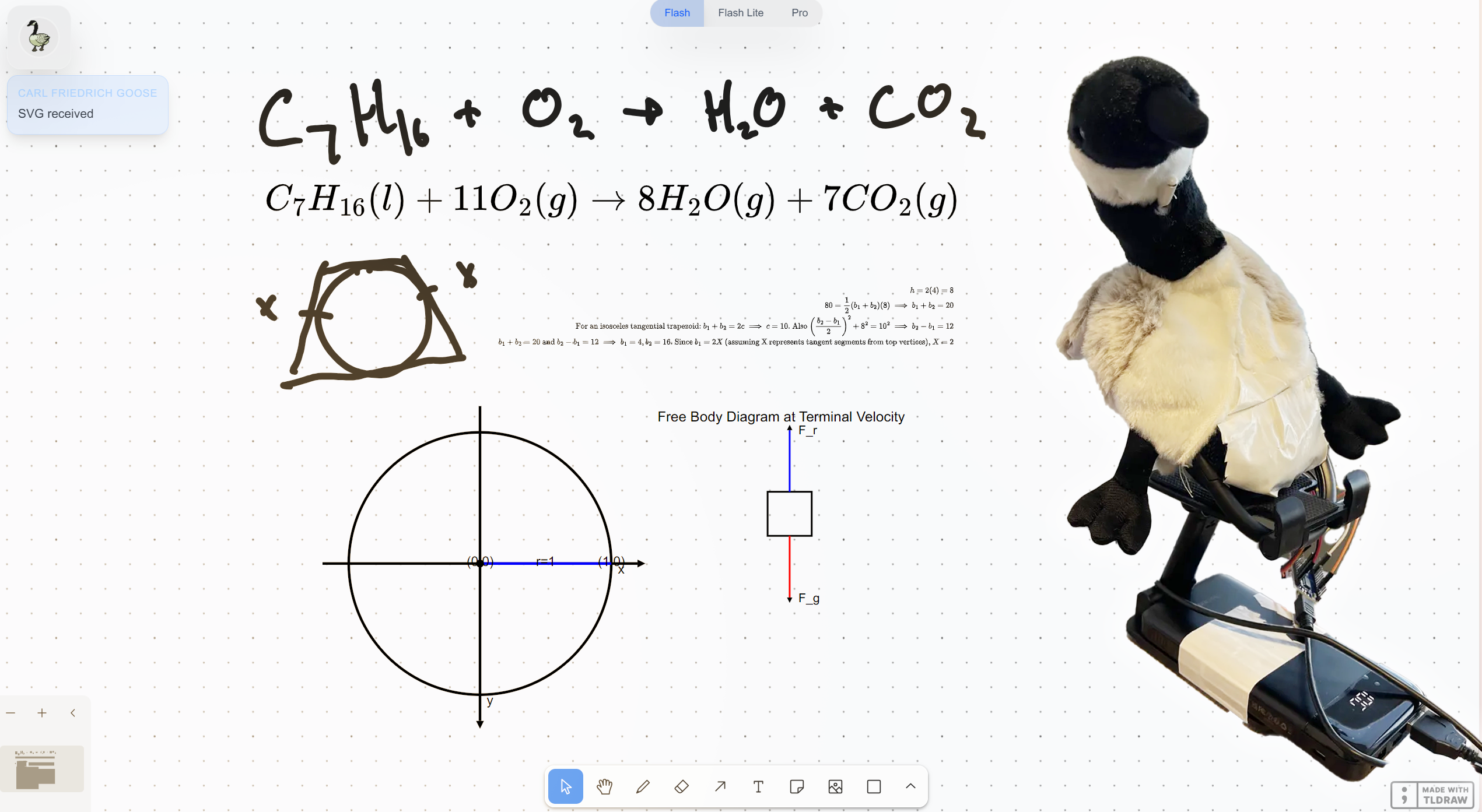 Carl Friedrich Goose | Devpost