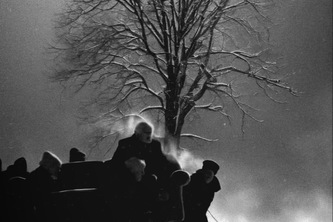 Memory (The Old Tree ) | Devpost