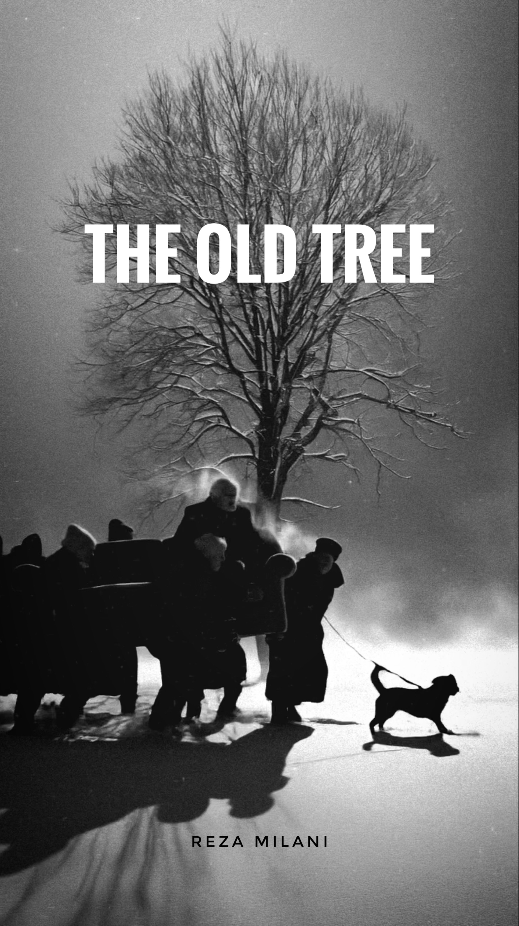 Memory (The Old Tree ) | Devpost