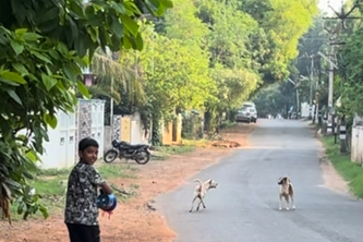 Eco-Alert Torch STEM-Based Wildlife Safety Solution | Devpost