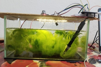 Algae air purifier | Devpost