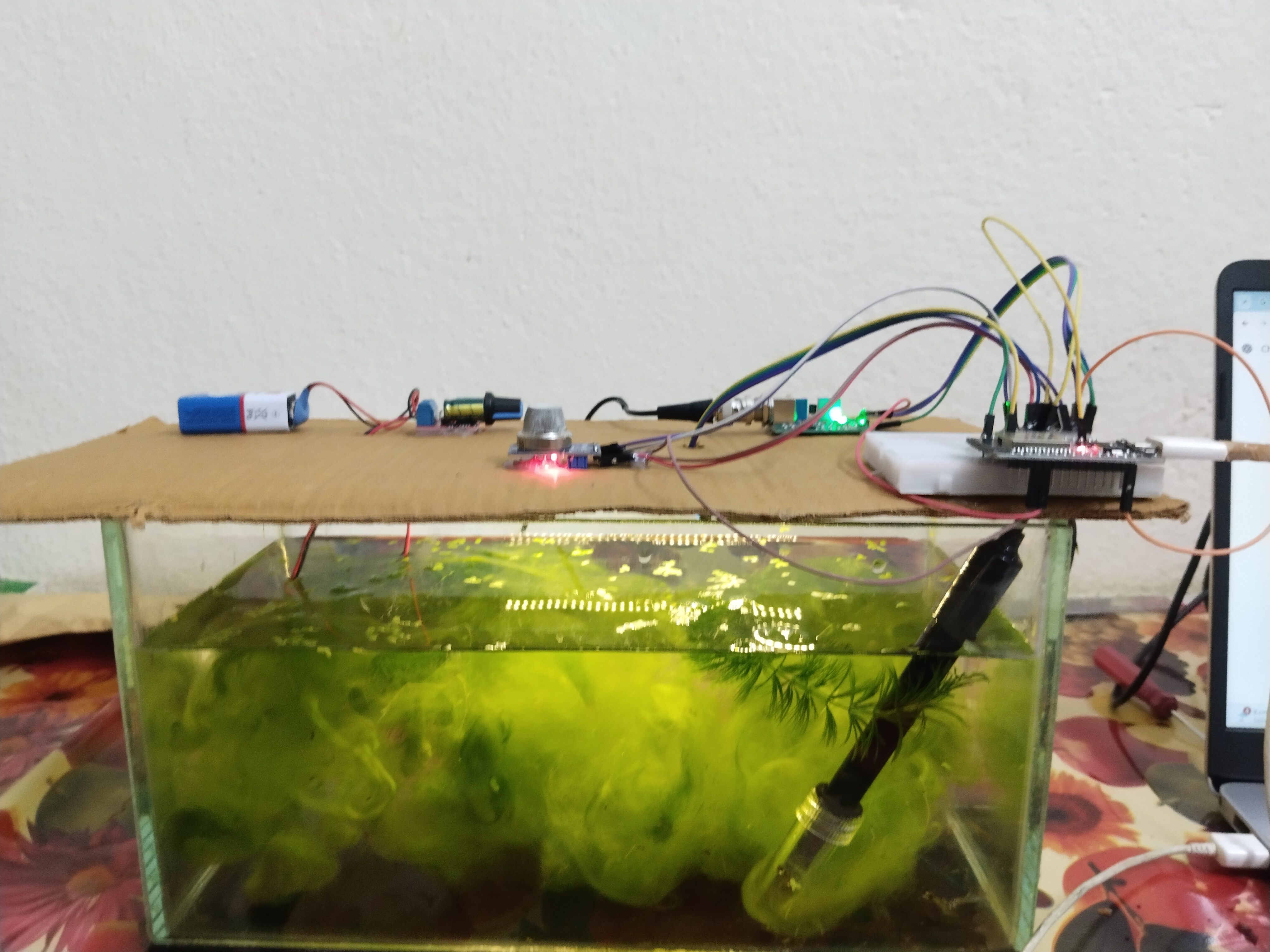 Algae air purifier | Devpost