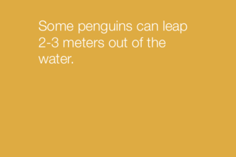 Fun Facts App | Devpost