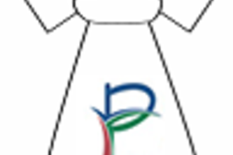 Pathways Professionals App | Devpost