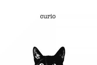 curio | Devpost