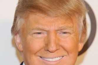 Make The Internet Great Again | Devpost