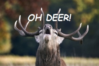 Oh Deer | Devpost