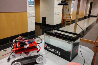 Goldfish Piloted Robot | Devpost
