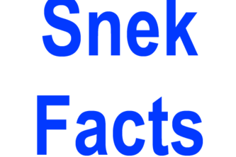 Snek Facts! | Devpost