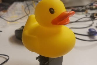 Rotating Duck | Devpost
