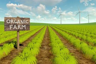 green fields | Devpost