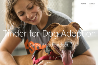 Tinder for Dog Adoption | Devpost