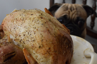 Piggy Eater | Devpost