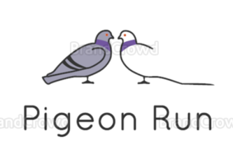 Pigeon Run | Devpost