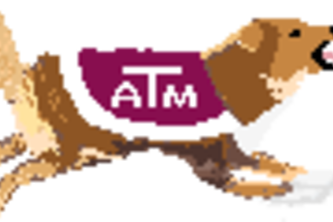 Adventures of Reveille | Devpost