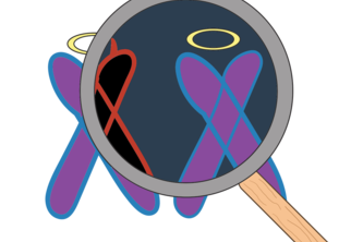 (Genomic) BED File Visualizer | Devpost