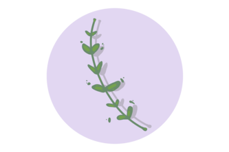 Free Thyme | Devpost