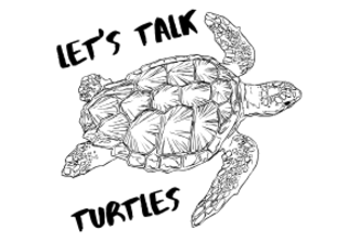 Let's Talk Turtles | Devpost